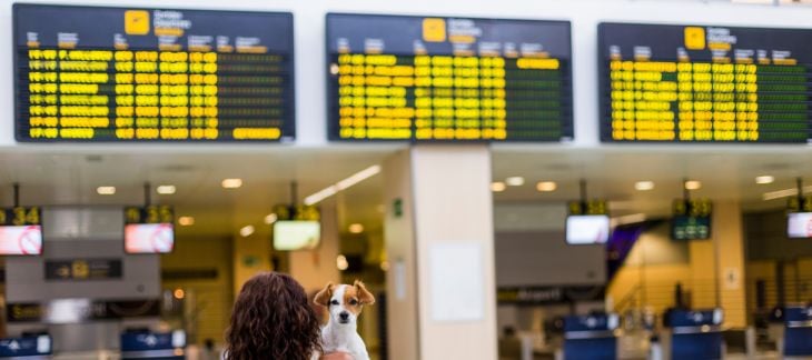 How to Set Up Multiscreen Digital Signage